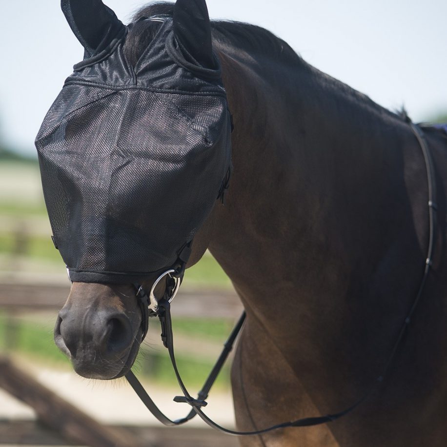 QHP Riding Fly Mask - Elite Equestrian