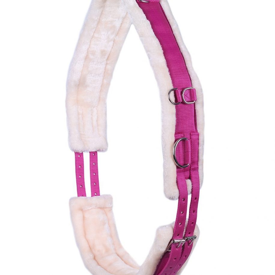 QHP Lunging Girth/Roller - Elite Equestrian