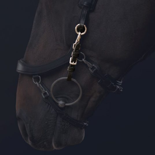 Presteq Faysport Anatomical Bridle - Elite Equestrian