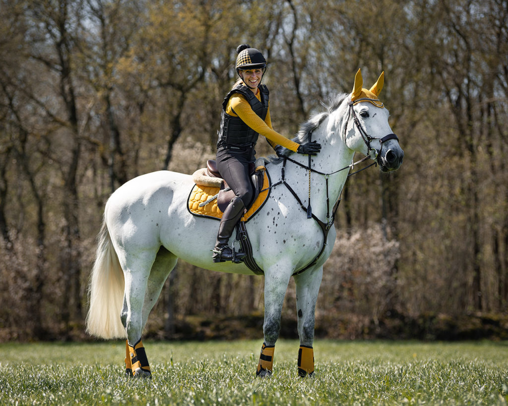 Home - Elite Equestrian